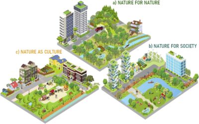 Nature Futures Framework - FAQ - NaturaConnect