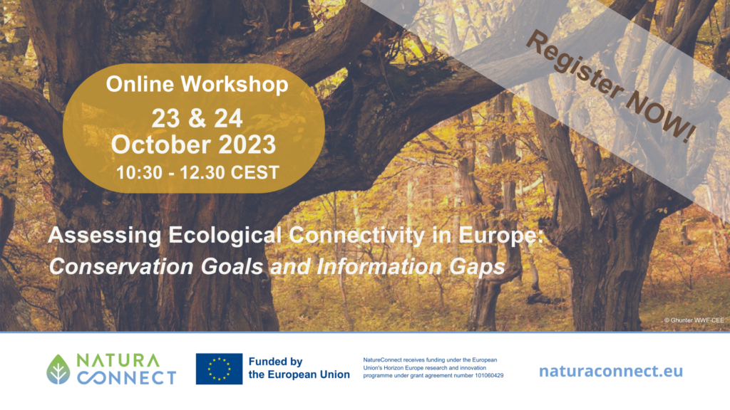 You are invited to join the next NaturaConnect workshop - NaturaConnect